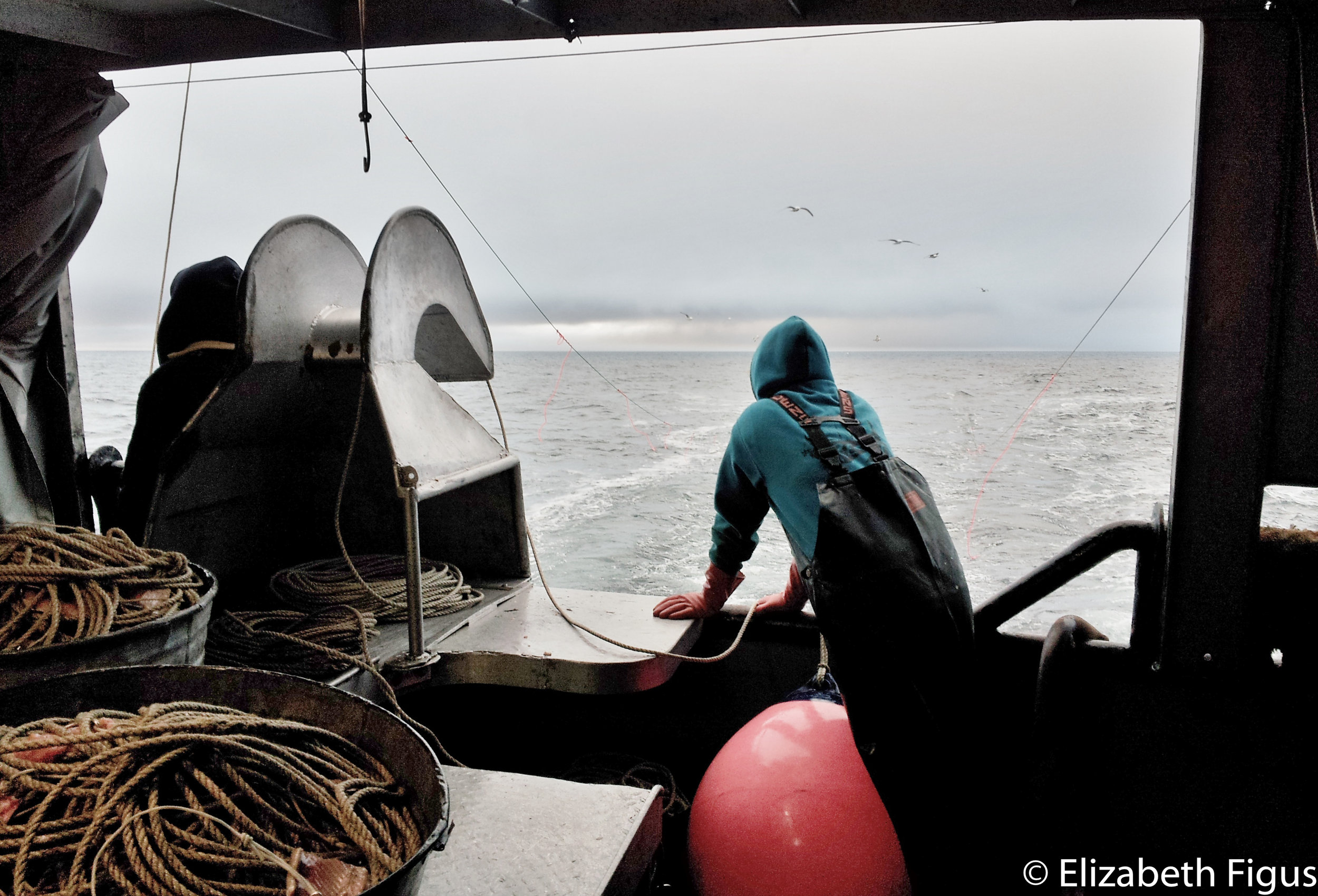 Research Fellows | College of Fisheries and Ocean Sciences