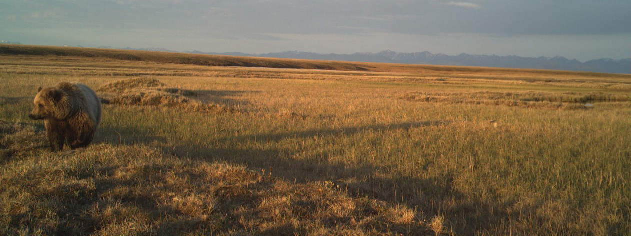 Climate and Environmental Change | Climate and Environmental Change