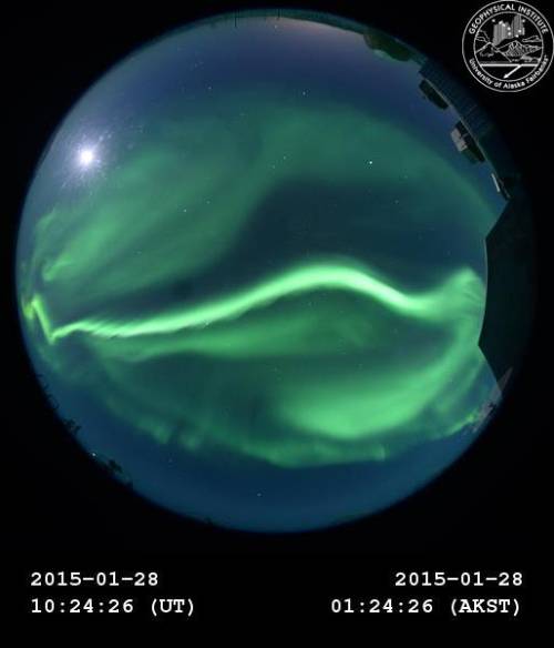 Aurora Activities | Museum of the North