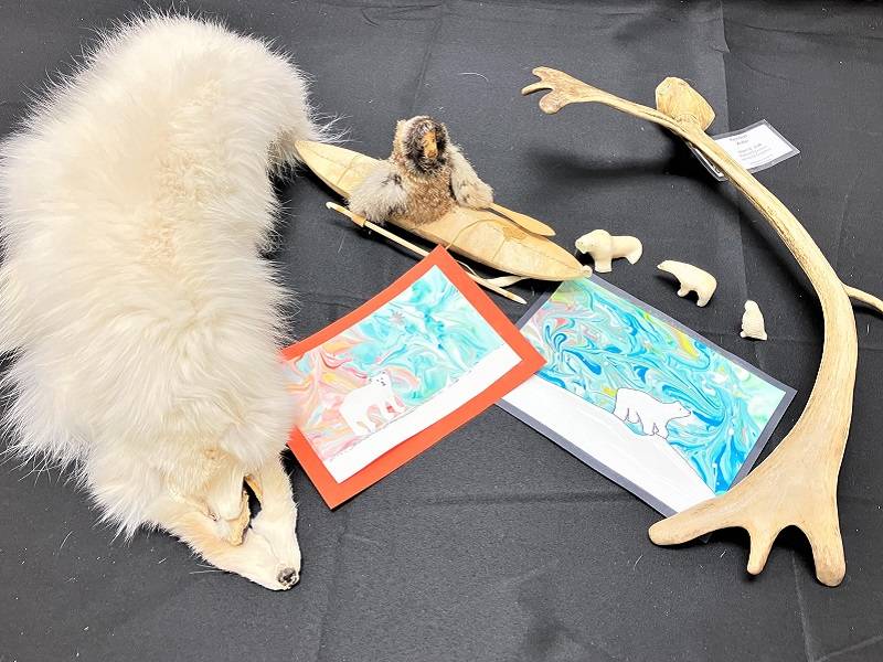 Junior Curators: Arctic Life | Museum of the North