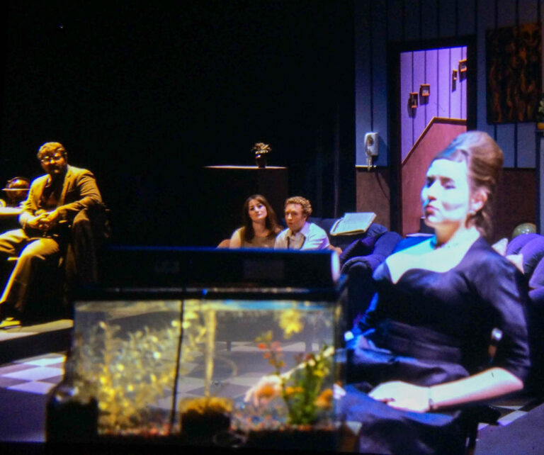 "Who's Afraid of Virginia Woolf" Gallery - Image A-WAVW3 | Theatre & Film