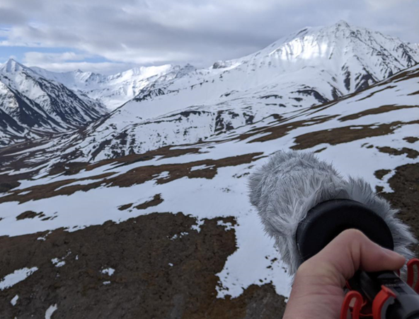 Arts & Media | Toolik Field Station